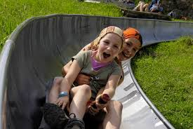 Rodelbahn Stuckli Run - Sattel - My Farm